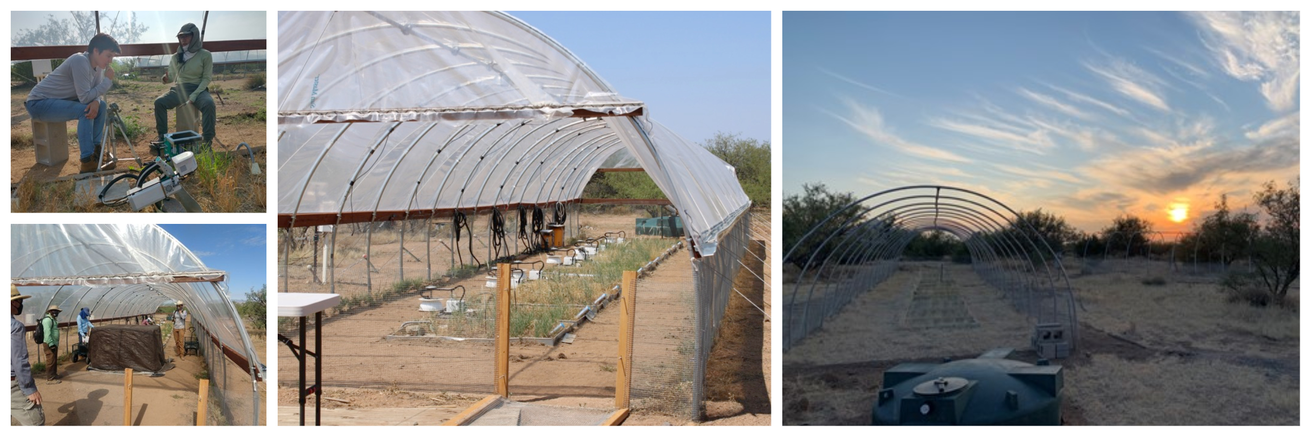 Assessing Resilience of Arizona Grasslands to Changes in the North ...
