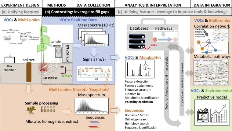 Microbial Volatilome | Vertically Integrated Projects